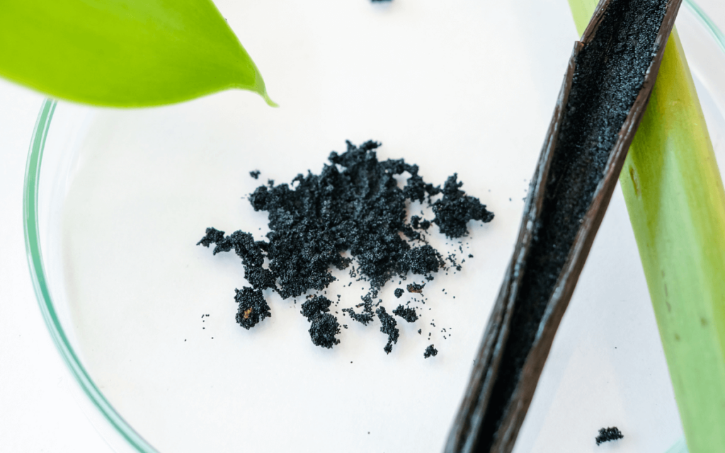 Vanilla Orchid: How To Plant, Care and Grow (With Photos)